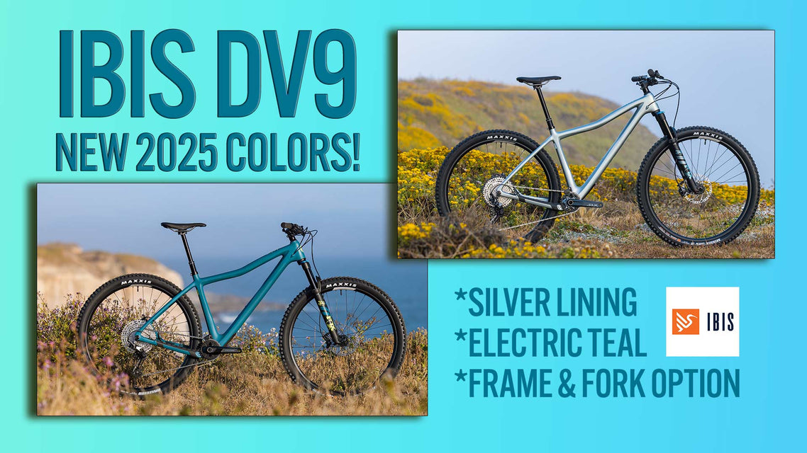 Sunshine Bicycle Center, Fairfax CA