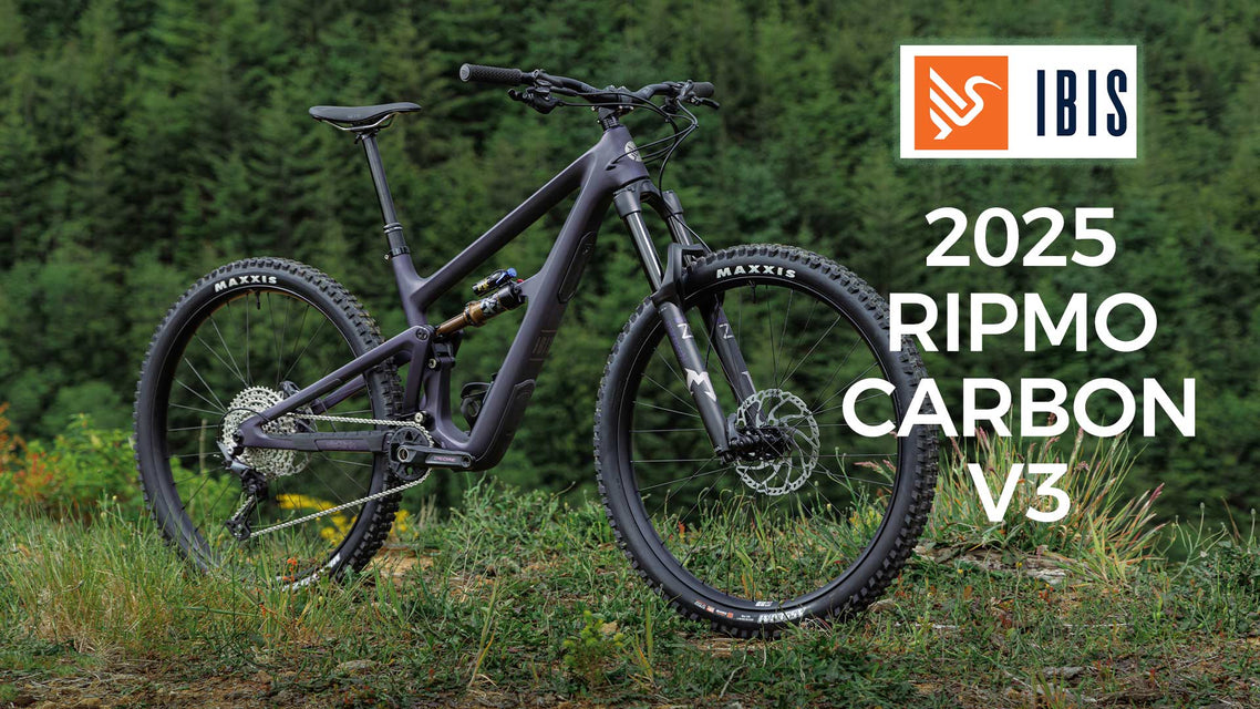 Sunshine Bicycle Center, Fairfax CA