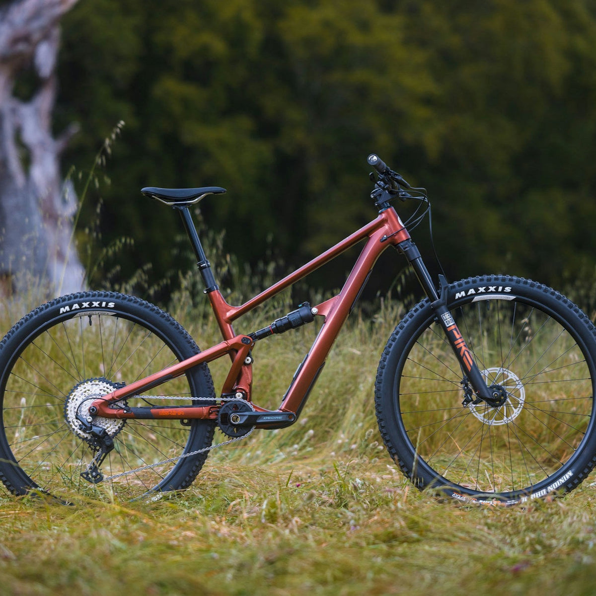 Ibis Ripley AF - INFO– Sunshine Bicycle Center