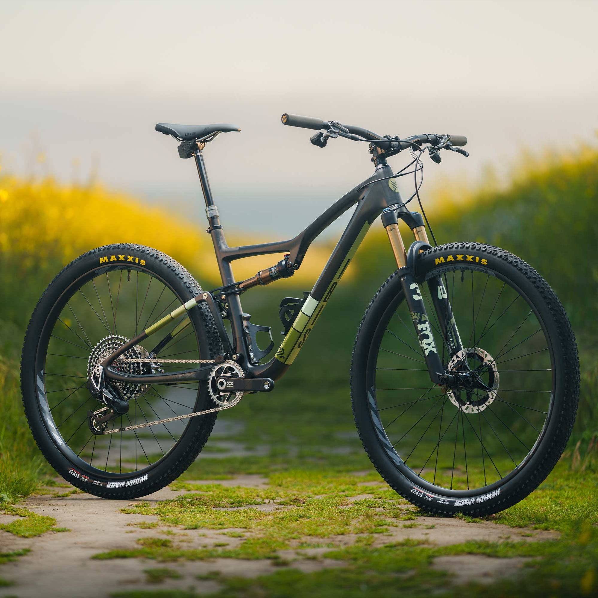 Products– Sunshine Bicycle Center